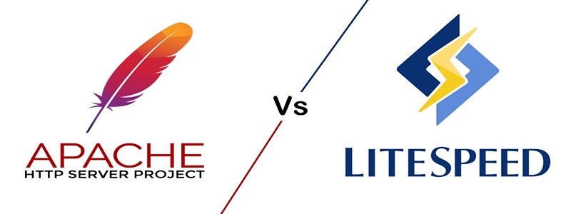 هر آنچه لازم است درباره LiteSpeed بدانید | وبلاگ پویان آی تی